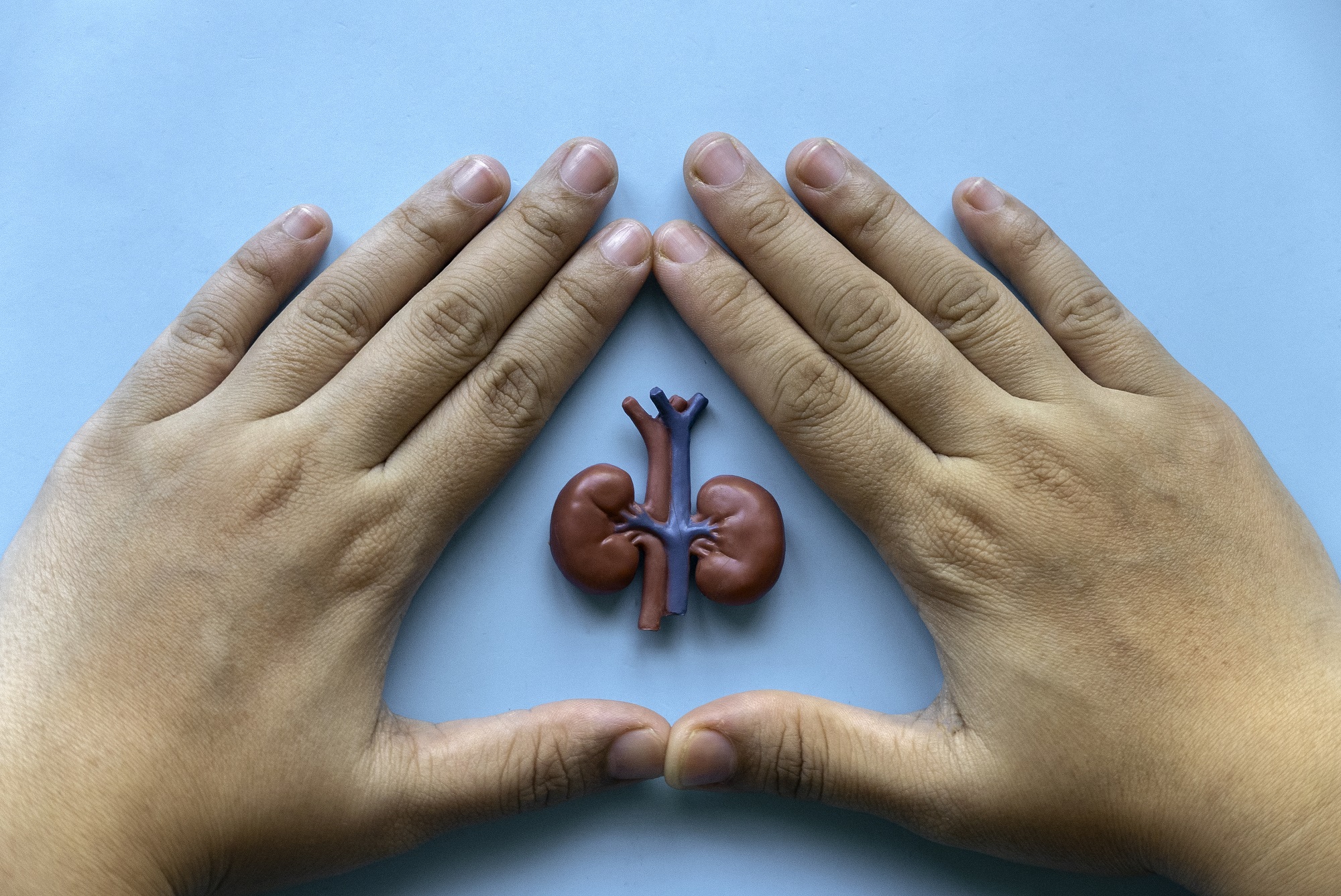 LFT and KFT (Liver Function Test & Kidney Function Test) - Health Tips ...