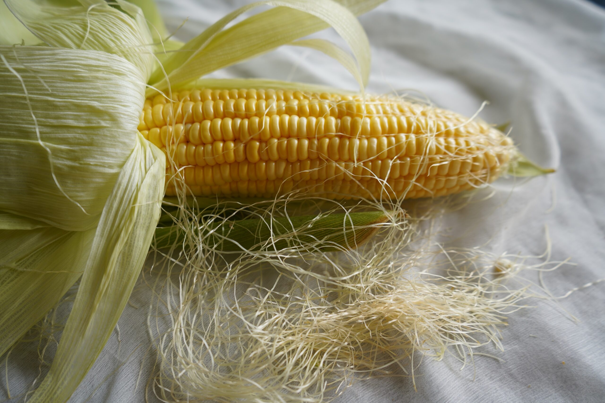 Corn Silk: 30 Health Benefits You Should Know - Health Tips | Health ...