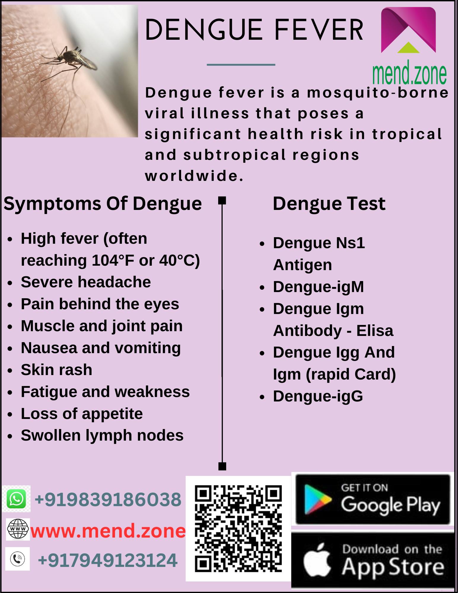 Dengue Blood Tests: IgM, IgG, and NS1 - Your Guide to Early Detection ...