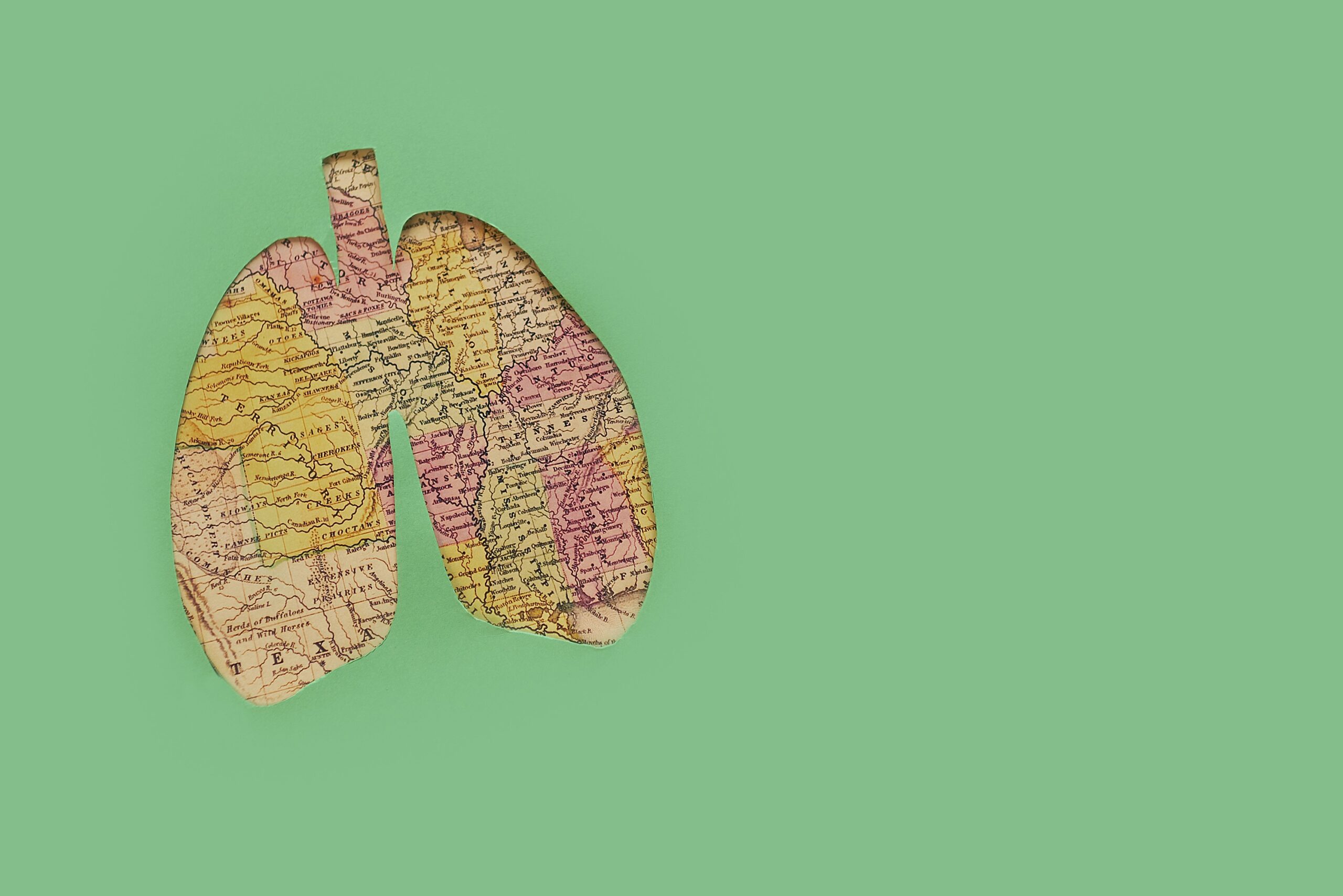 The Invisible Threat: How Air Pollution Steals Years from Our Lives ...