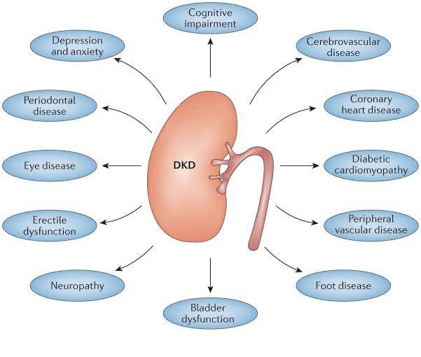 Diabetic Kidney Disease: Symptoms, Prevention & Tests - Health Tips ...